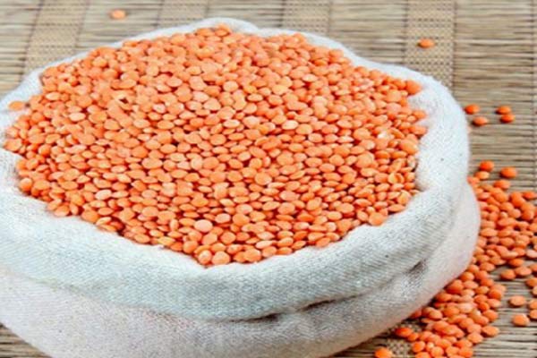 Guru Internaltional Exim